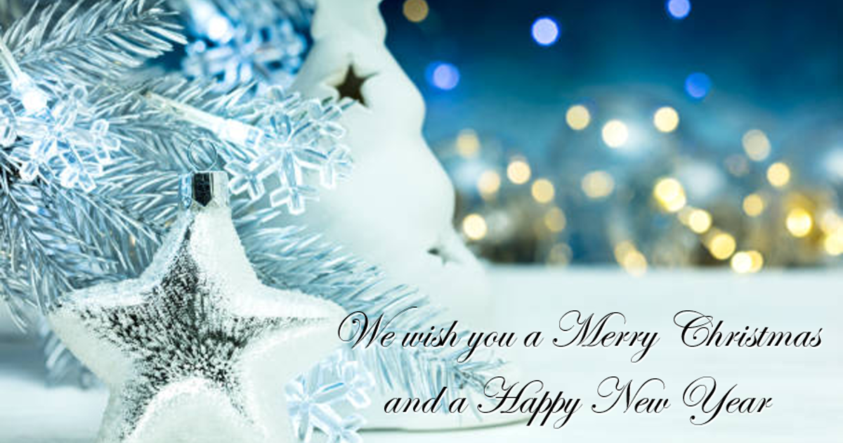 Opening Hours During Christmas 2025 and New Year - LSR